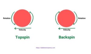 Spin in Table Tennis: How to Create and Counter - TABLE TENNIS ARENA