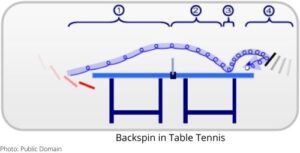 Spin in Table Tennis: How to Create and Counter - TABLE TENNIS ARENA