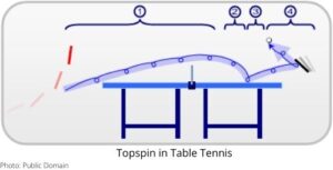 Spin in Table Tennis: How to Create and Counter - TABLE TENNIS ARENA