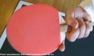 Table Tennis Grips: How to Hold a Racket? - TABLE TENNIS ARENA