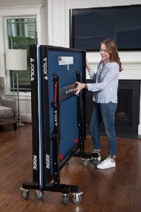 JOOLA Inside 25 Review: Why The Best Choice? - TABLE TENNIS ARENA