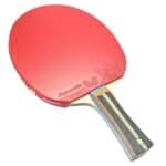 15 Most Expensive Ping Pong Paddles in 2025 - TABLE TENNIS ARENA
